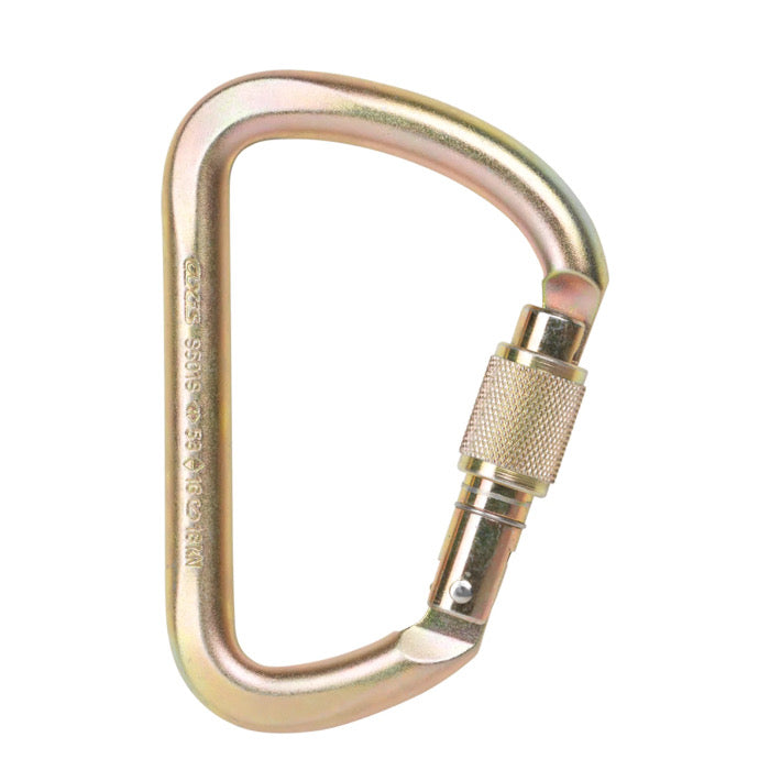 Axis Large Steel Screwgate Carabiner – Kosci Climbing
